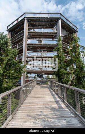 Tree tower, treetop walkway, Bavarian Forest National Park, Neuschoenau ...