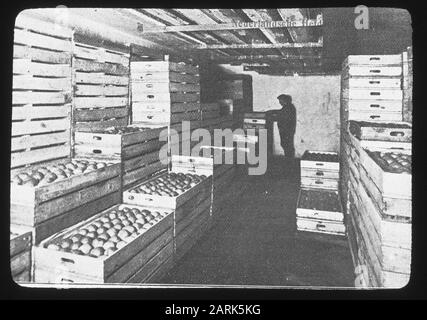 fruit storage Date: undated Keywords: fruit cultivation Stock Photo - Alamy