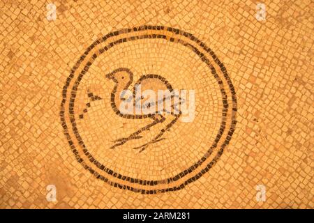 Mosaic floor in the ancient synagogue at the ruins of the ancient ...