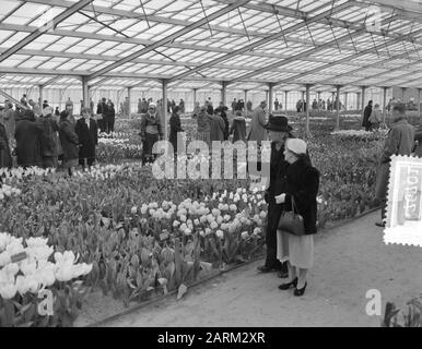 Easter print on Keukenhof Date: 19 april 1976 Institution name ...