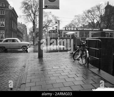 First winter day without snow or ice, but with rain Christmas tree ...