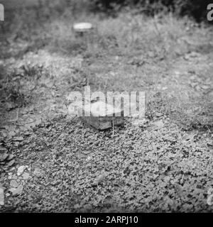 A German Glasmine 43 anti-personnel mine in the Bastogne War Museum ...