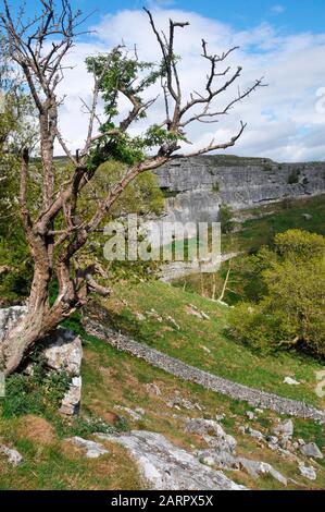 Malham Cove, fault on the middle Craven Fault, 70m sheer drop on cliff ...