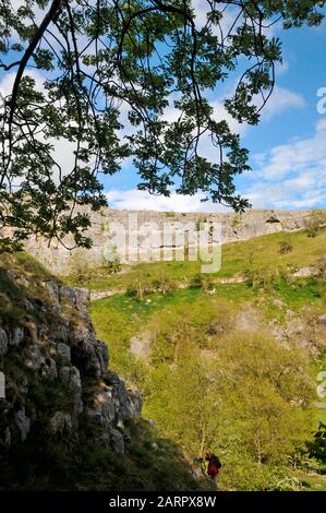 Malham Cove, fault on the middle Craven Fault, 70m sheer drop on cliff ...