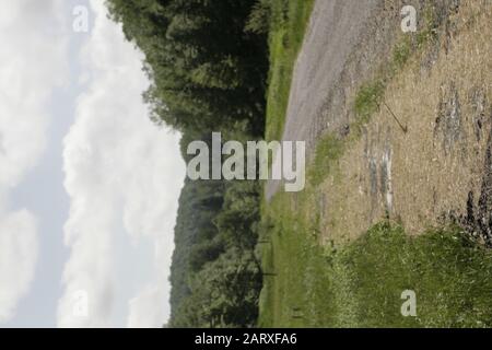 Blackwater Canyon Rail Trail, West Virginia Stock Photo - Alamy