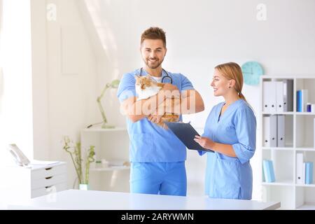 Veterinarians with cute cat in clinic Stock Photo - Alamy