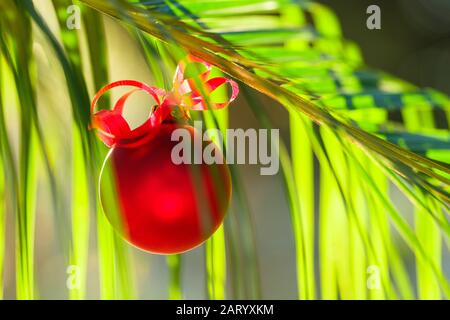 A single red bauble, hanging from top of frame on a god string and ...