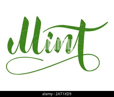 Vector hand written mint text isolated on white background. Kitchen ...