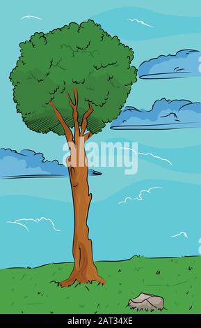 Sketch of tall tree, Hand drawn Vector illustration Stock Vector Image ...