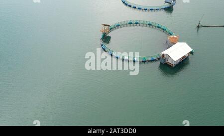 Aerial view of fish ponds for bangus, milkfish. Fish farm, top view ...