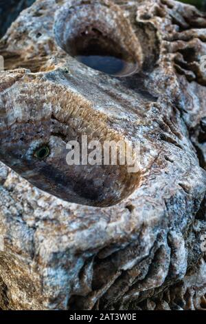 Close up of layered stone slab available for carving sculptures Stock ...