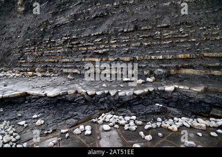 Lower Lias limestone and shale rock strata in cliffs at Lavernock Point ...