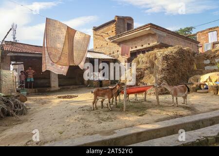 A village hut, rural West Bengal, India Stock Photo - Alamy