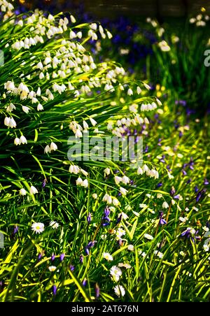 Little Bredy is a delightful park and village in Dorset Stock Photo - Alamy