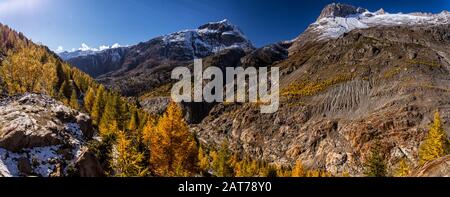 Aletschwald im Herbst / Aletsch forest in autumn Stock Photo - Alamy