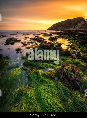 beach view on purple sunset Stock Photo - Alamy
