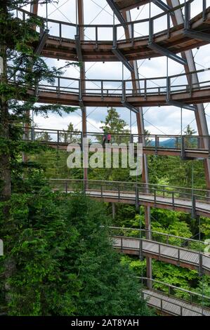 Tree tower, Tree Top Walk, Bavarian Forest National Park, Neuschönau ...