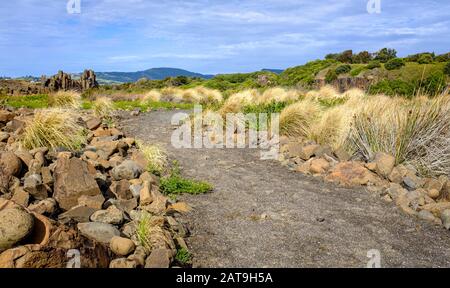 The basalt columns at Bombo Headland Quarry glow in the early morning ...