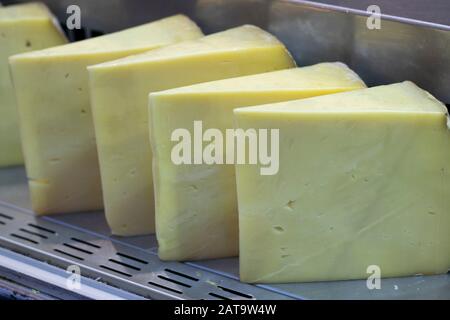 Close-up of cheddar cheese is sold in the market. Triangular slice ...