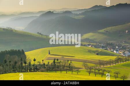 Beautiful heights of Oberharmersbach in the black forest in germany ...