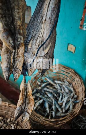 Mackerel at the fish market in Sri Lanka Stock Photo - Alamy