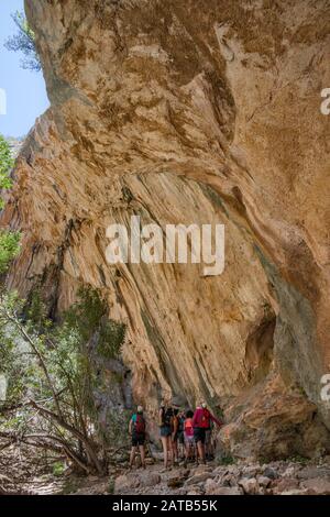 Scenic view of a majestic canyon under a clear blue sky at sunset. USA ...
