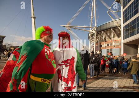 Welsh Rugby Supporters dress up as daffodils and leeks outside Cardiff ...