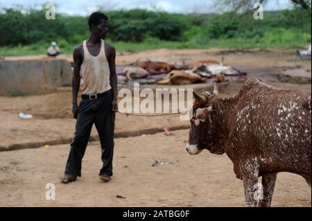 6 November 2011. Dadaab, Kenya. Dadaab is a semi-arid town in Garissa ...