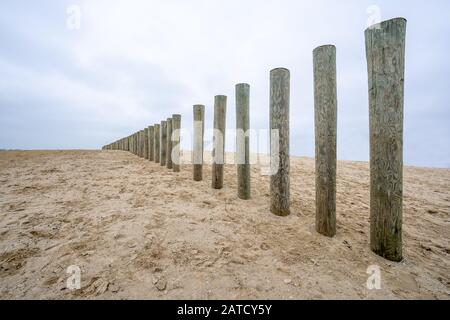 Low angle shot of wooden breakwater poles on a beach sand Stock Photo ...