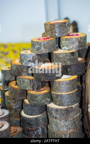 Wood Log cut in round thin pieces in hand Stock Photo - Alamy
