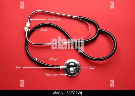 Modern stethoscope with names of particular parts on white background ...