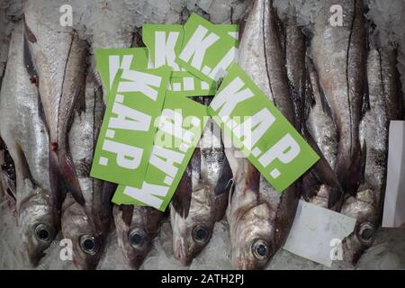 At the early morning auctions at Peterhead fish market, in Peterhead ...