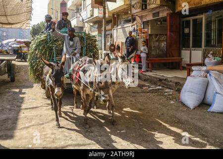 29 January 2020, Egypt, Manfalut: A picture provided on 03 February ...