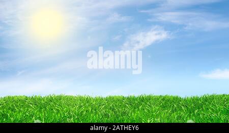 A landscape with a meadow of grass against the backdrop of a sunrise ...