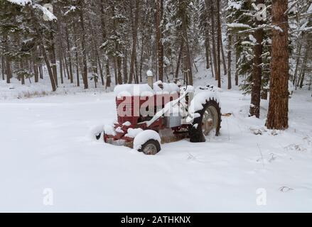 An old farm tractor covered in fresh winter snow Stock Photo - Alamy