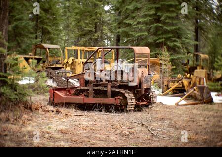 An old, red 1948 INnternational TD9 gas powered bulldozer in a wooded ...