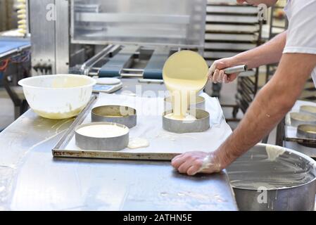 industrial production of cakes and tarts in a large bakery on an ...
