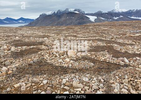 Polygons or polygonal ground in the Arctic refuge Stock Photo - Alamy