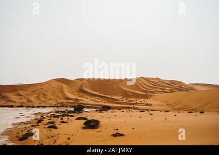 Dried out desert area and background sand structure Stock Photo - Alamy