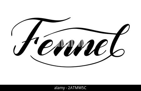 Vector hand written fennel text isolated on white background. Kitchen ...