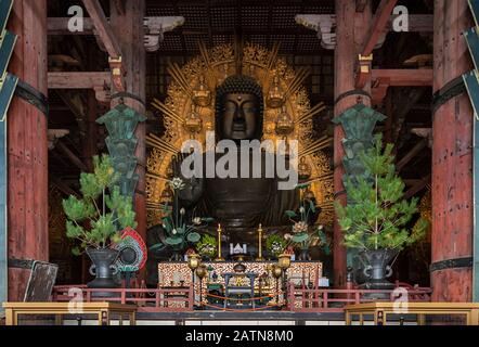 the interior of the todaiji temple in nara japan Stock Photo - Alamy