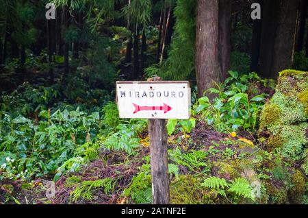 viewpoint sign and arrow with forest background Stock Photo - Alamy