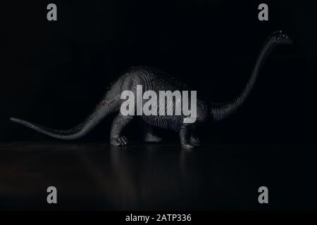 Black small dinosaur in the darkness, non-existent animal Stock Photo ...
