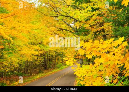 Log Slide Road, Pictured Rocks National Lakeshore, Grand Marias ...