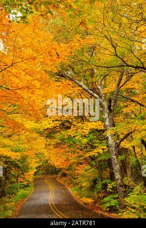 Log Slide Road, Pictured Rocks National Lakeshore, Grand Marias ...