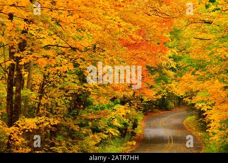 Log Slide Road, Pictured Rocks National Lakeshore, Grand Marias ...