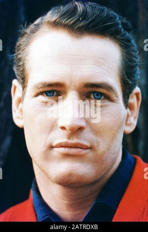 PAUL NEWMAN (1925-2008) American film actor in 1965 Stock Photo - Alamy