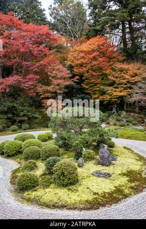 Manshu-in is a Karesansui zen garden containing a Pinus pentaphylla ...