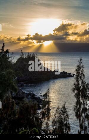 The bright sun rays of the sunset coming from between the thick tree ...