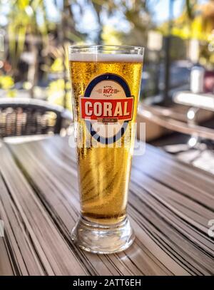 Coral beer, the local beer brewed in Madeira, Europe Stock Photo - Alamy